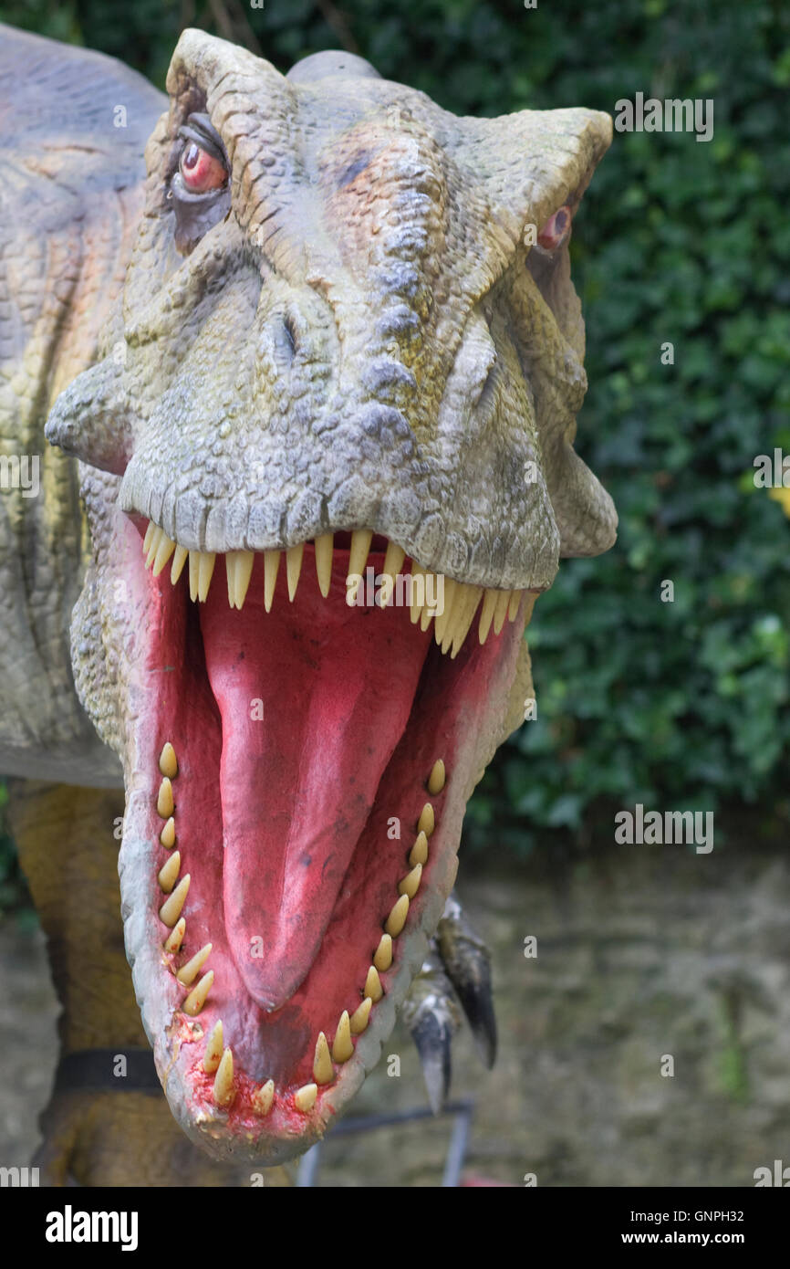 T Rex Dinosaur with teeth showing Stock Photo - Alamy
