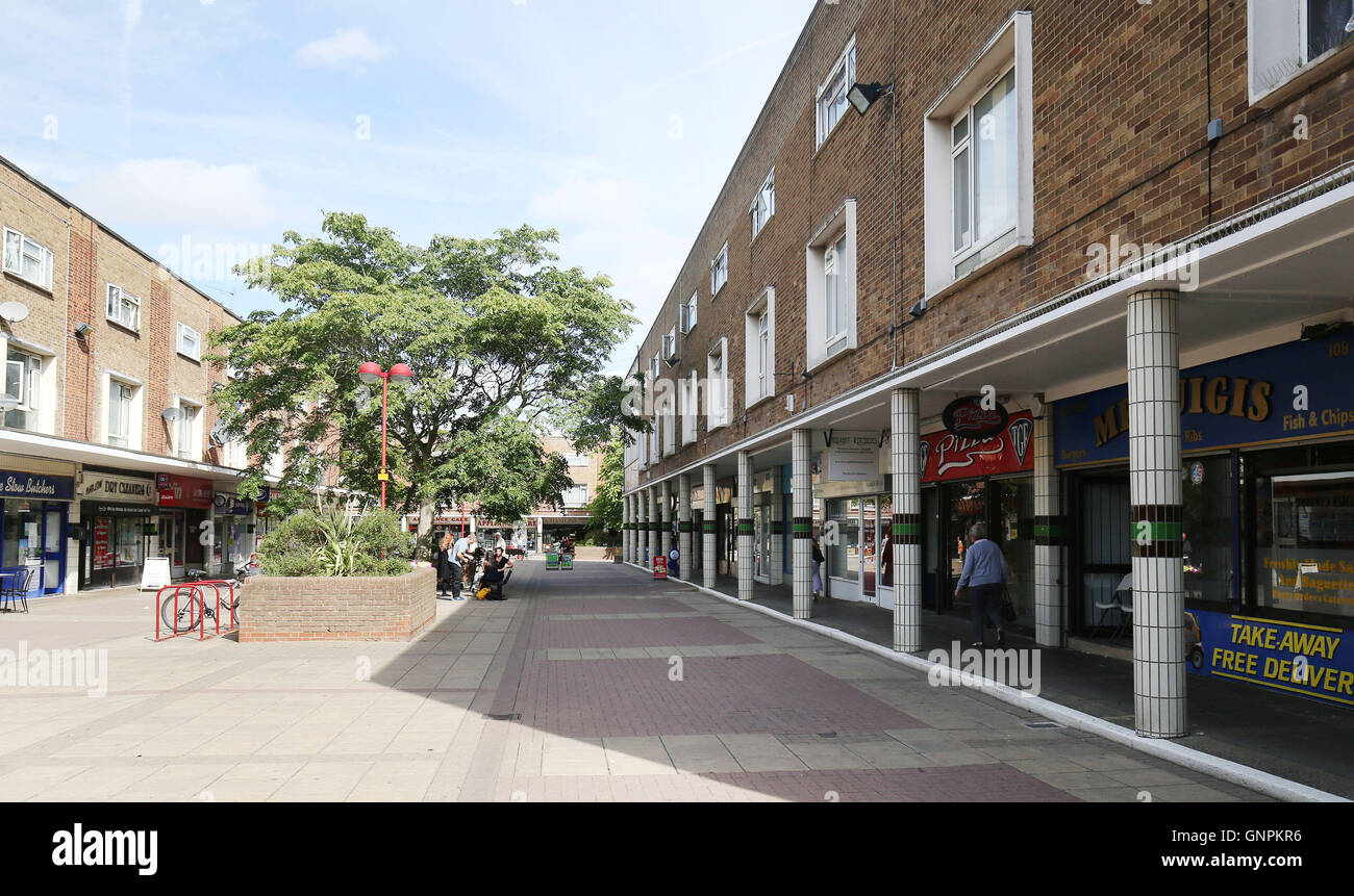 40 year old polish man hi-res stock photography and images - Alamy