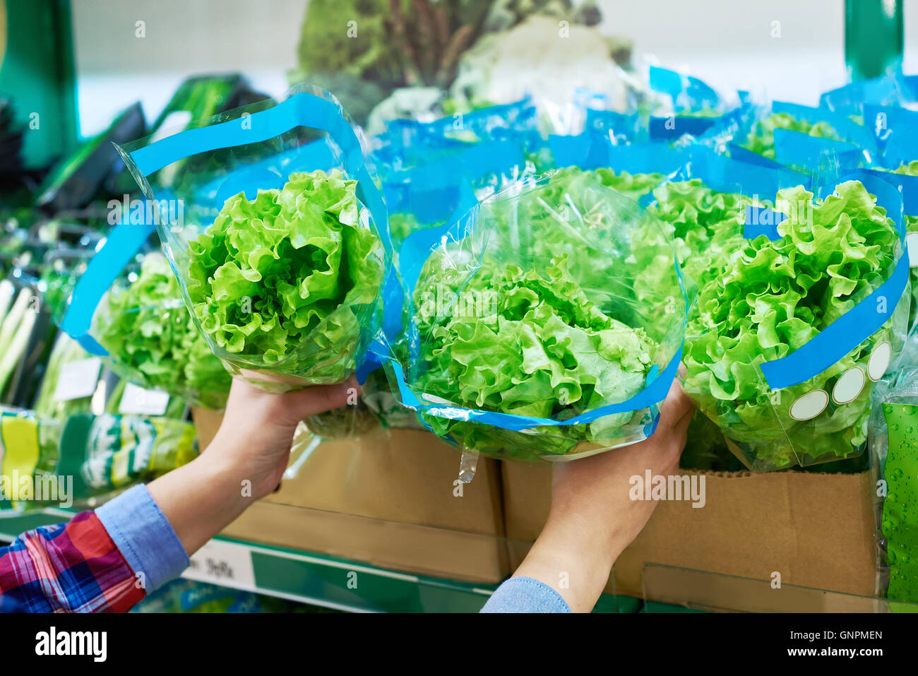 Salad green leaf in the store Stock Photo - Alamy