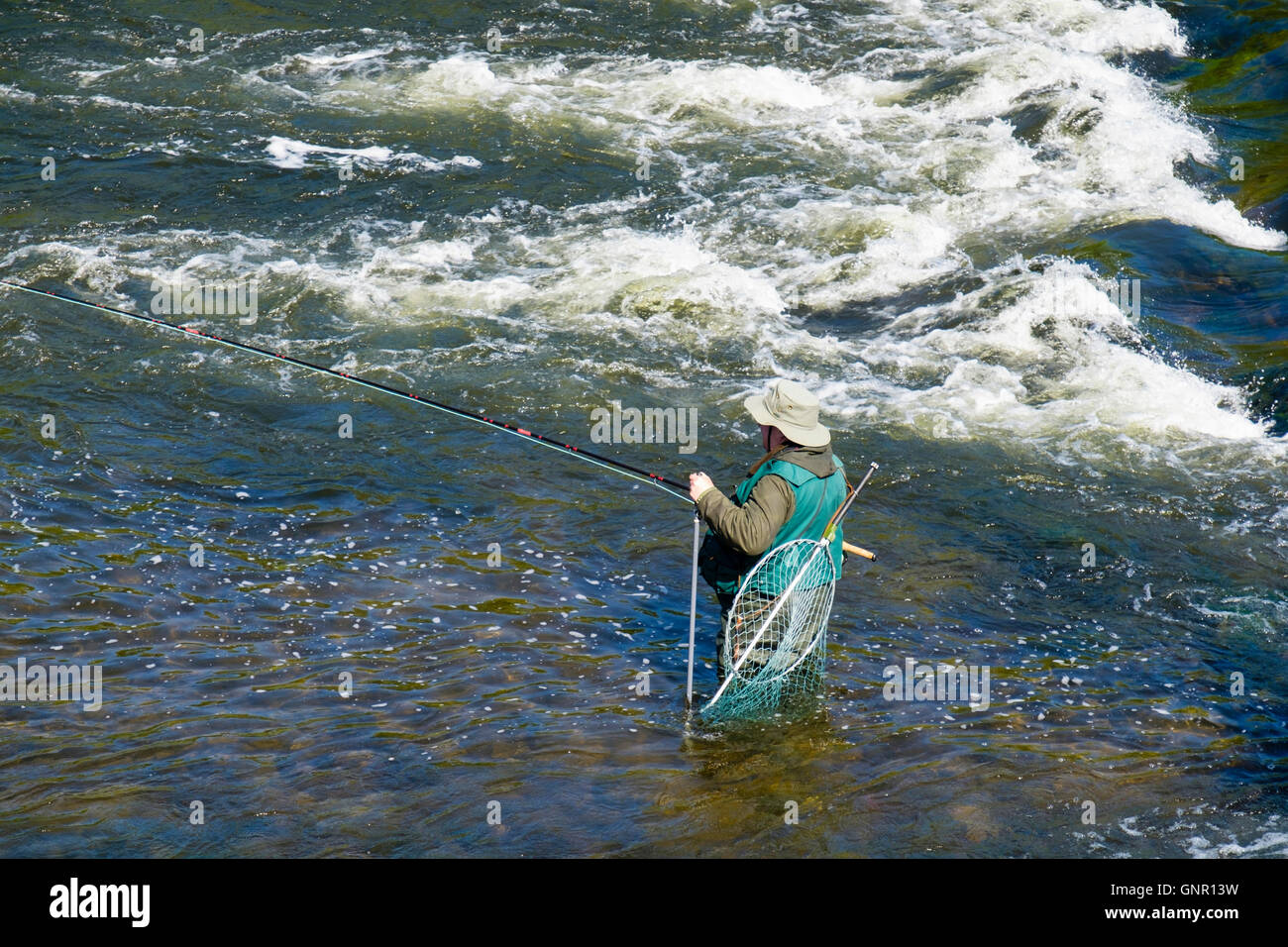 Angler standing in water below a weir fly fishing for Salmon in River ...