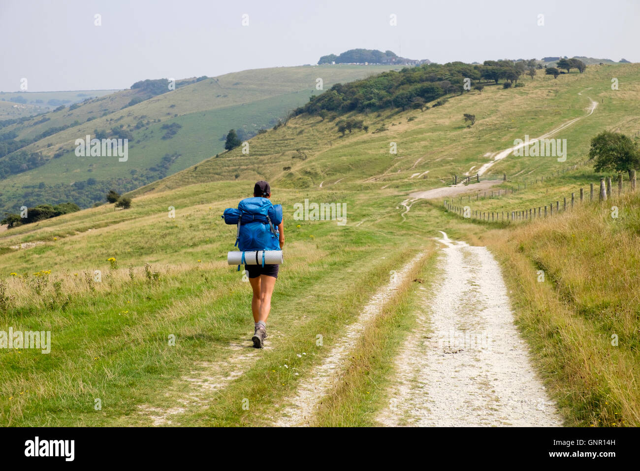 Solitary female hiker backpacking on South Downs Way towards Devils ...