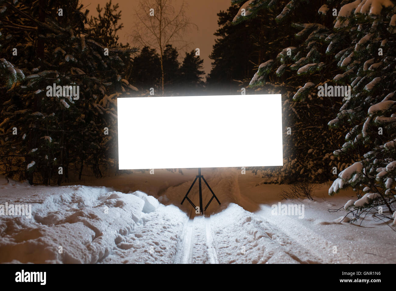 White glowing billboard in the night winter forest Stock Photo - Alamy