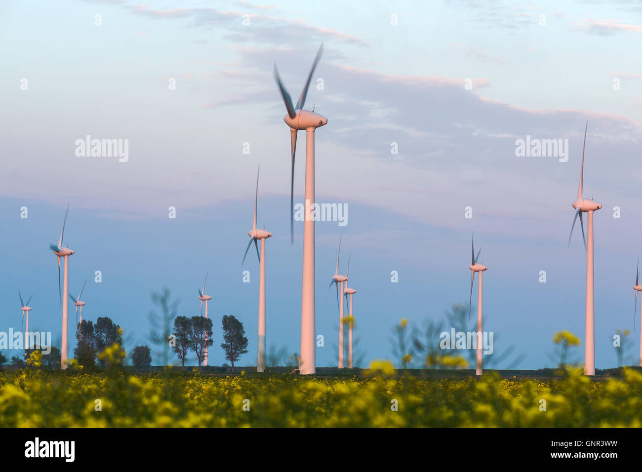 Western windraeder hi-res stock photography and images - Alamy