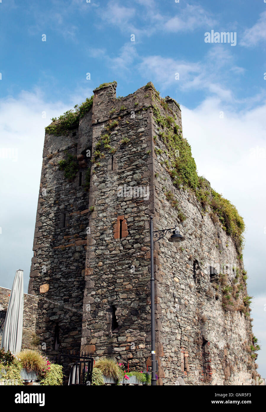 Taaffe’s Castle, Carlingford Stock Photo - Alamy