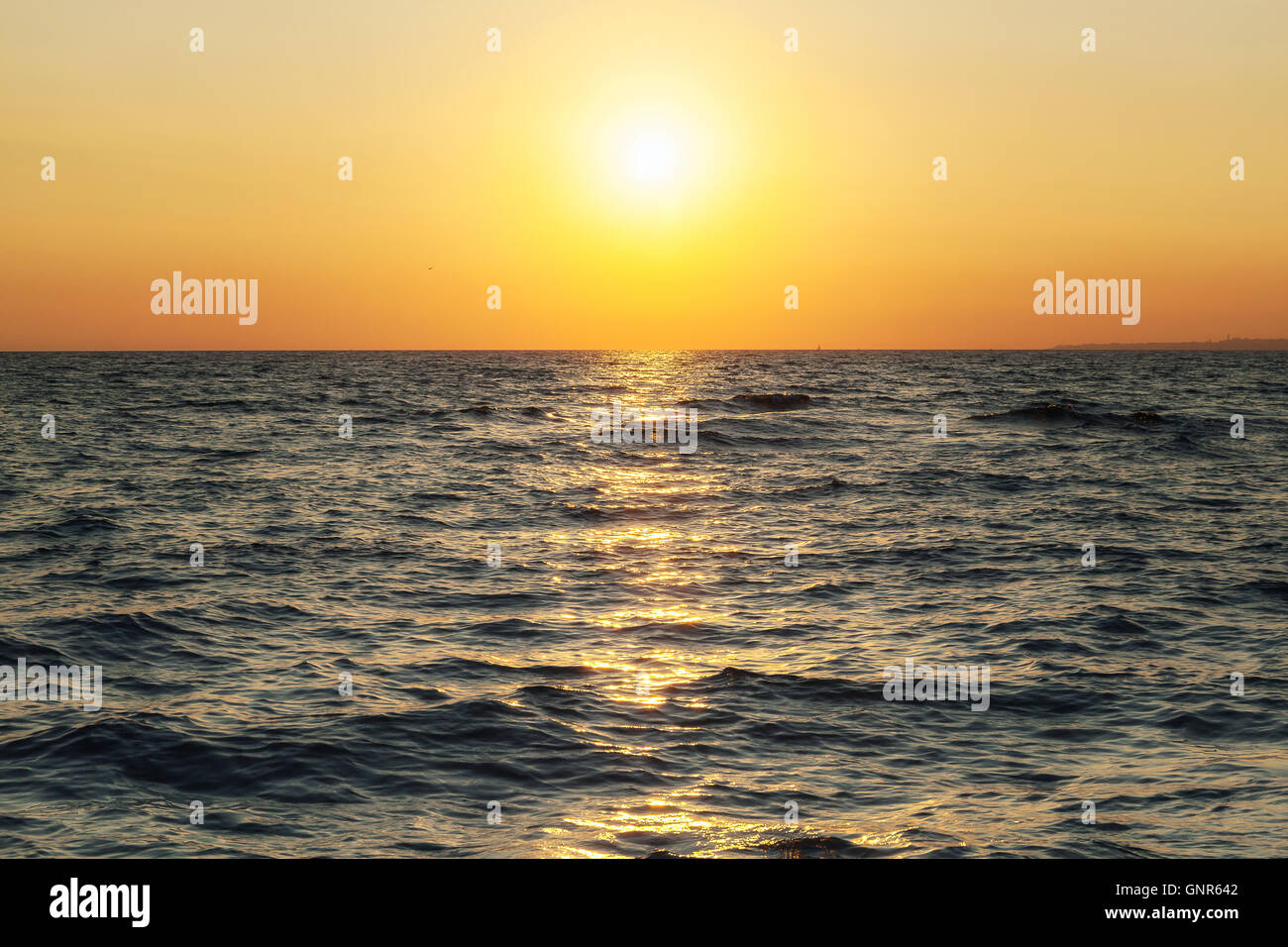 Horizon sea sunset in an August day. Summer warm light Stock Photo - Alamy