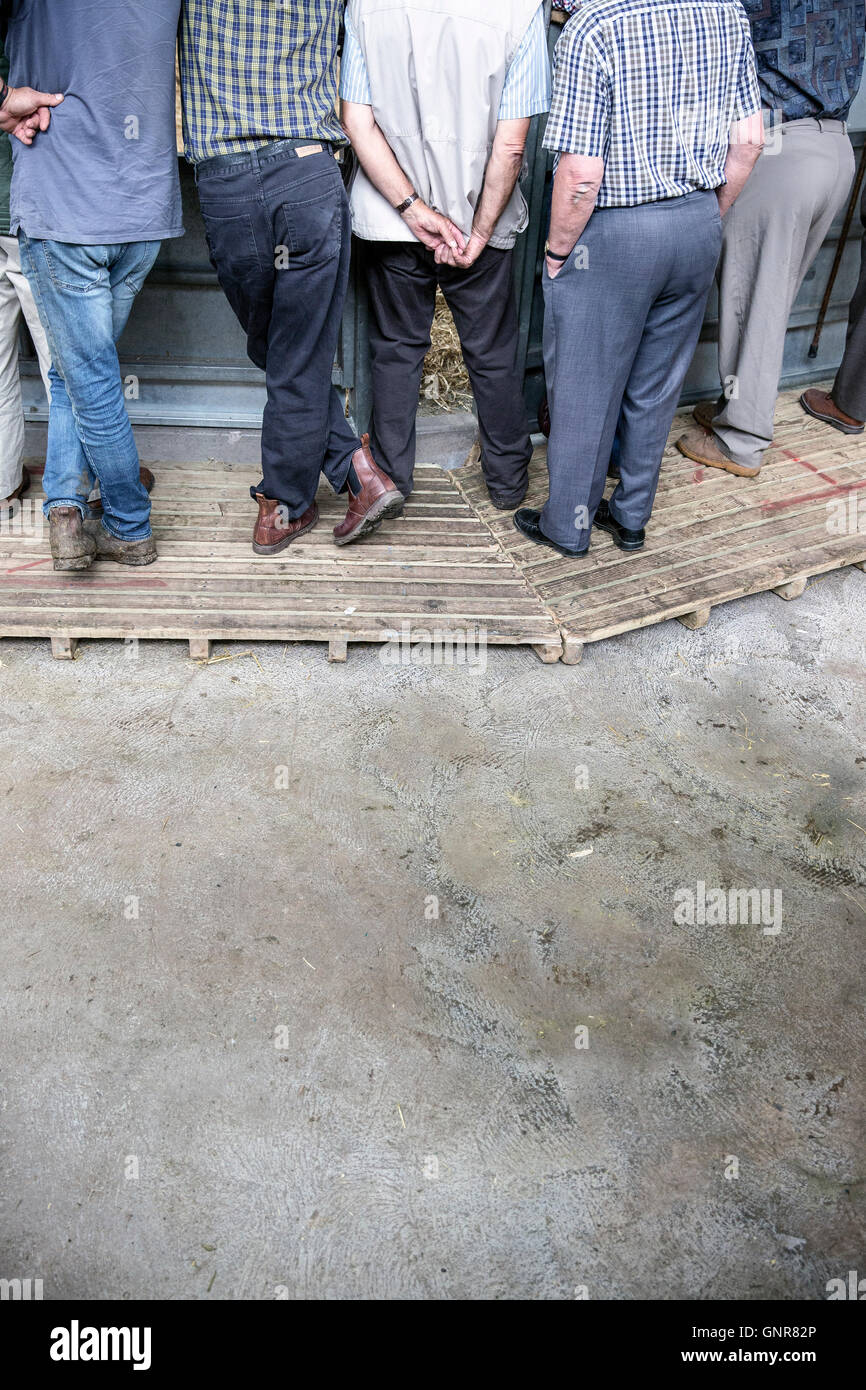 farmers at Exeter Livestock Centre is the largest and most modern ...