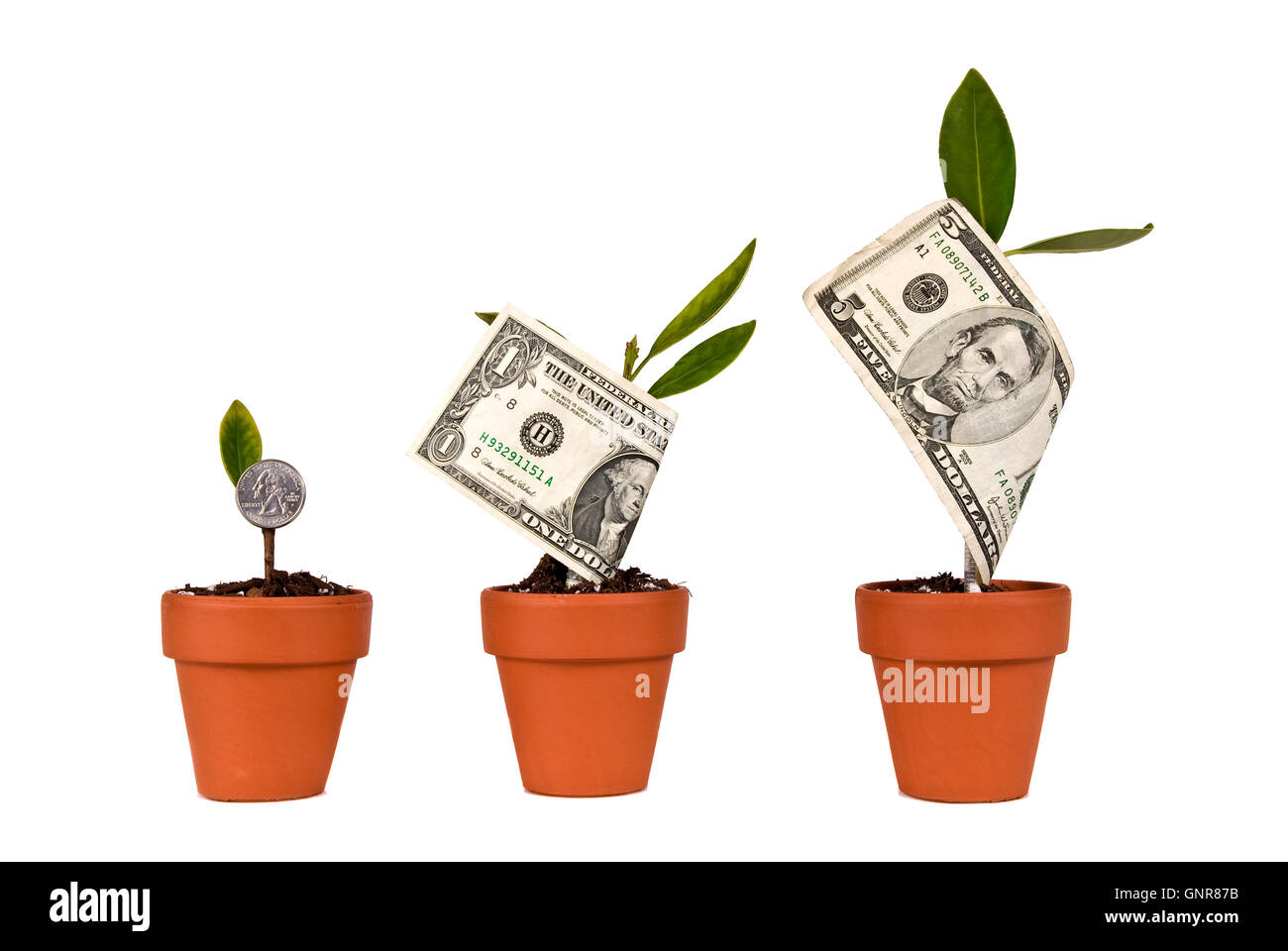 Growing Sequence of Money Stock Photo - Alamy