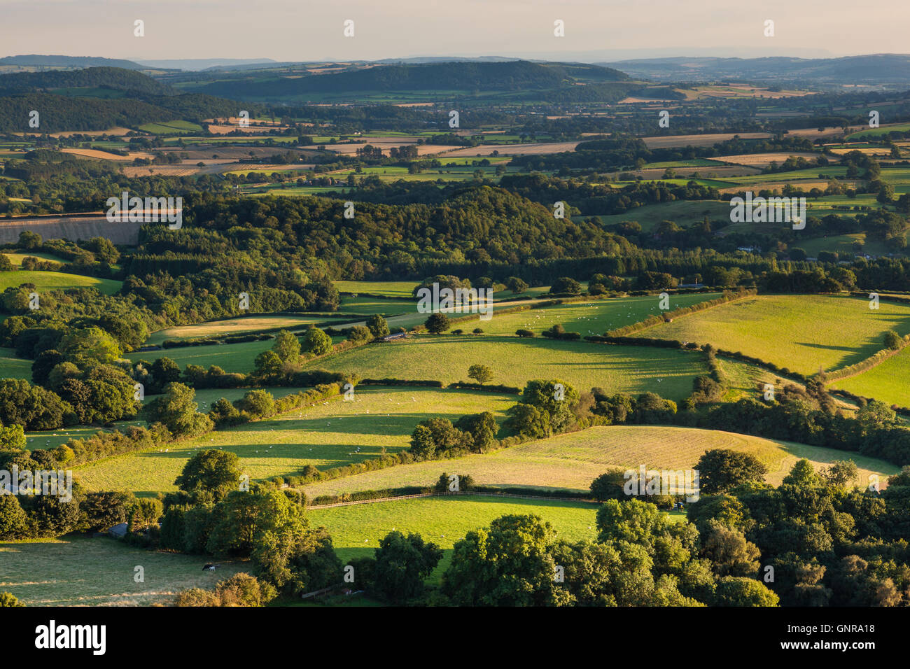 Evening sunlight across the South Shropshire hills, seen from Ragleth ...