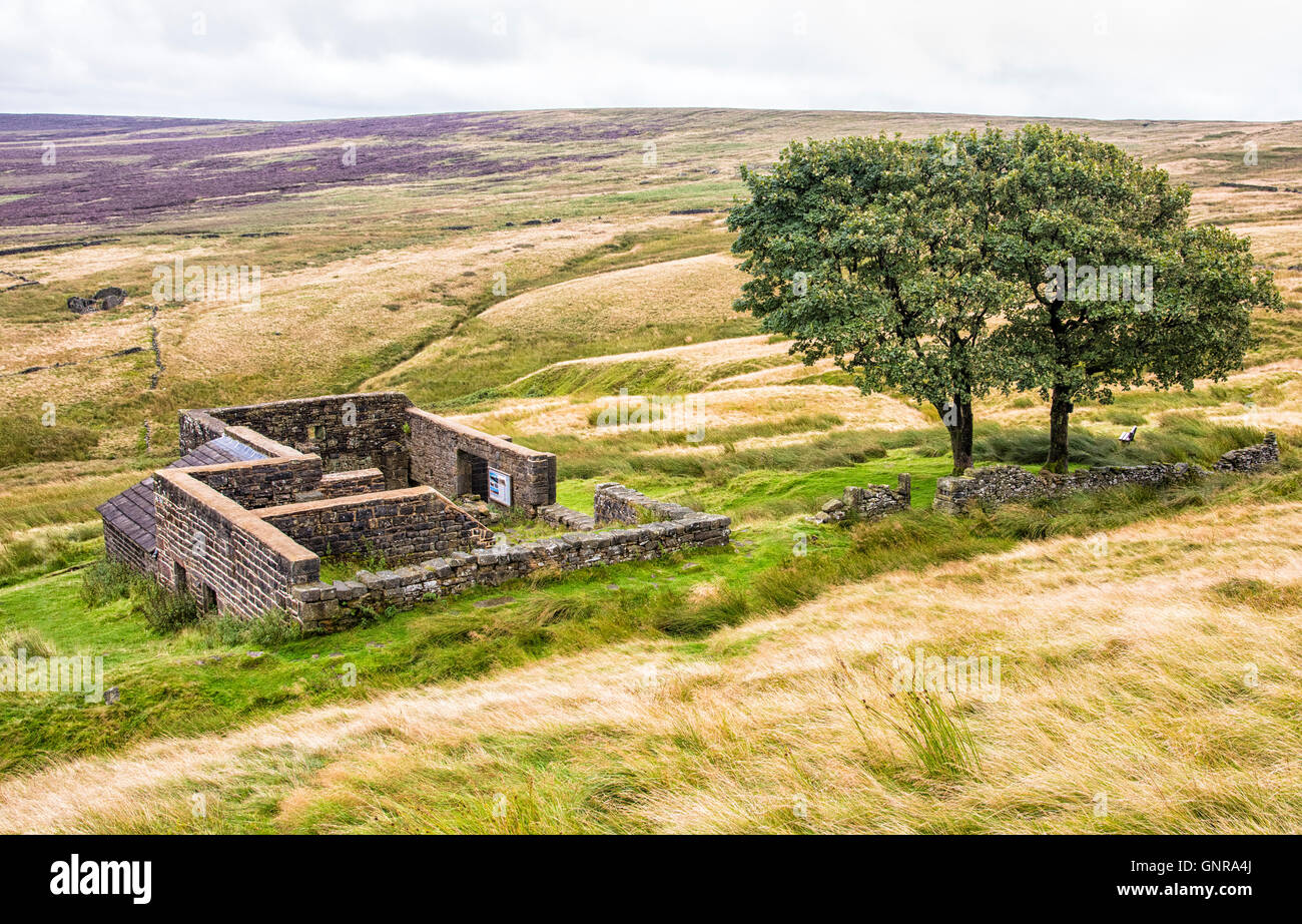 Moors Of Wuthering Heights