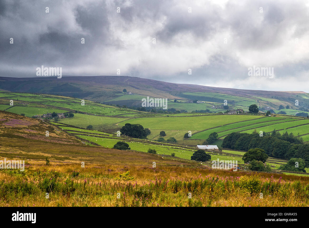 Haworth moors hi-res stock photography and images - Alamy