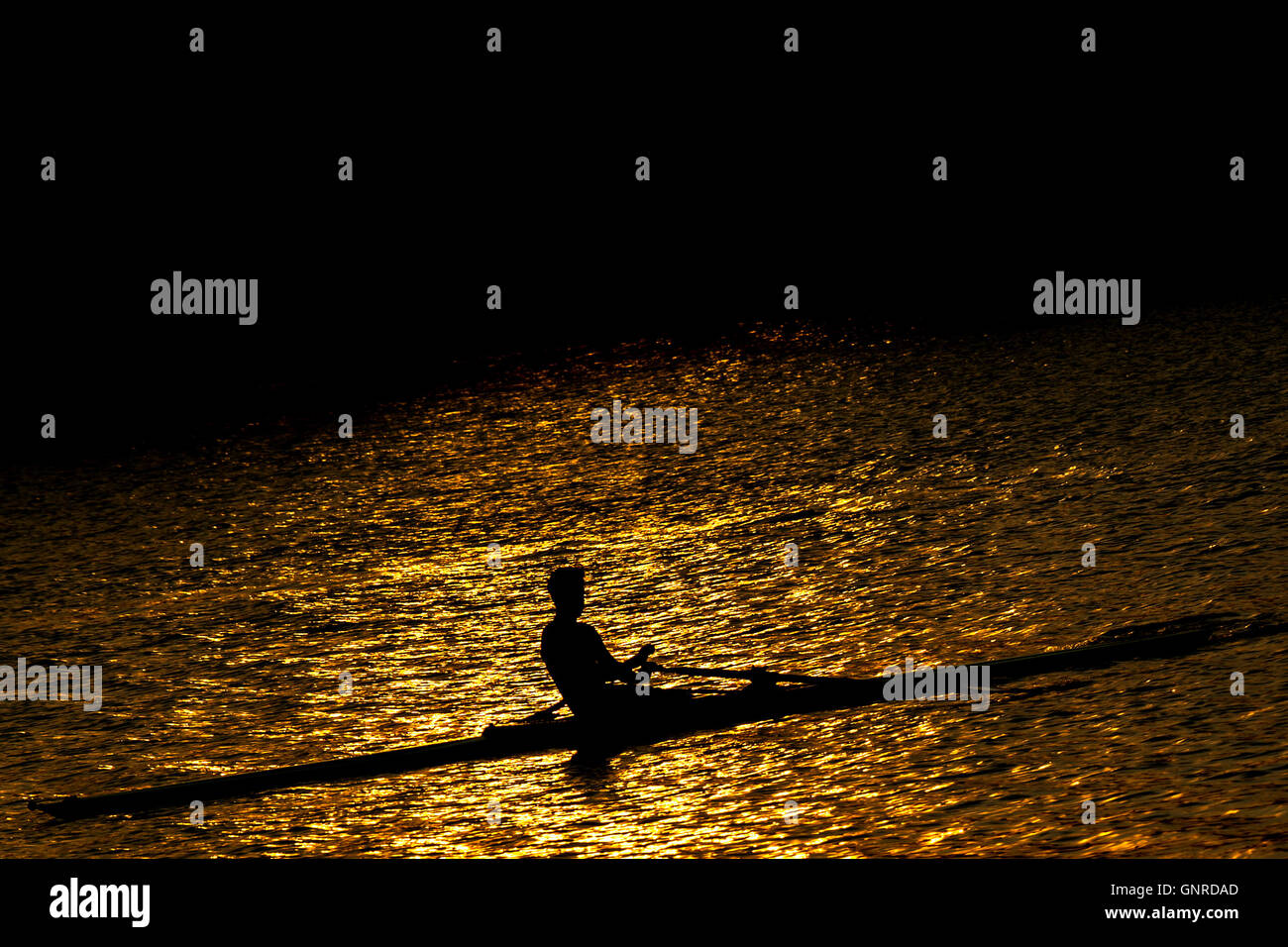 German rower hi-res stock photography and images - Alamy