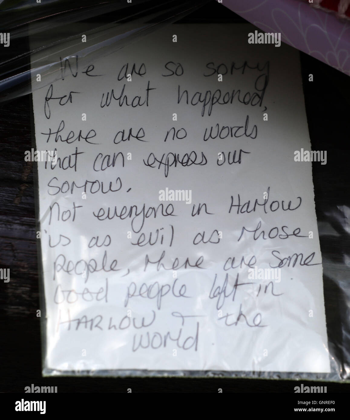 40 year old polish man hi-res stock photography and images - Alamy