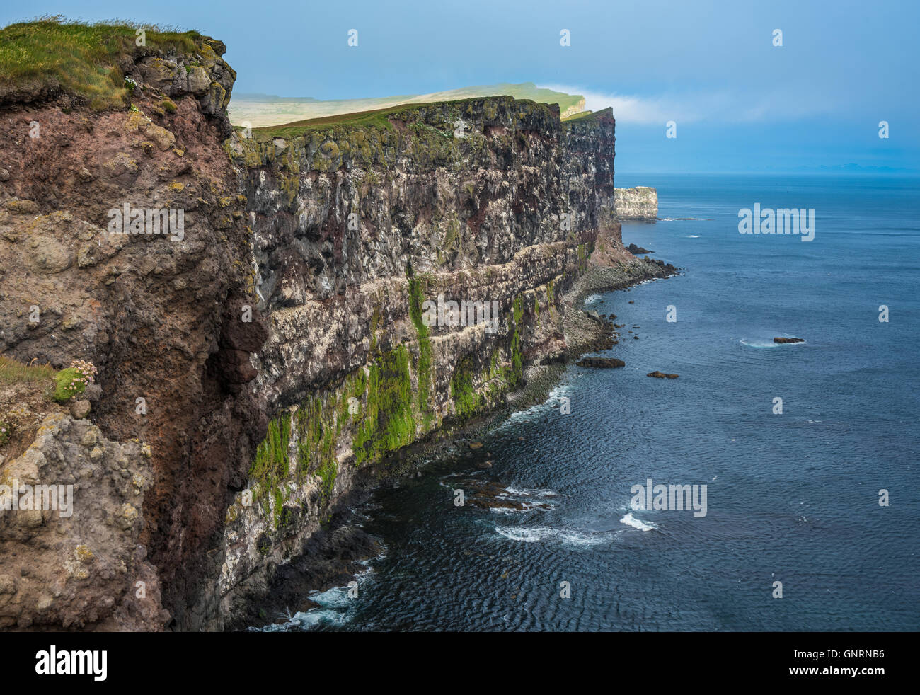 Stunning Latrabjarg cliffs, Europe's largest bird cliff. West Fjords ...