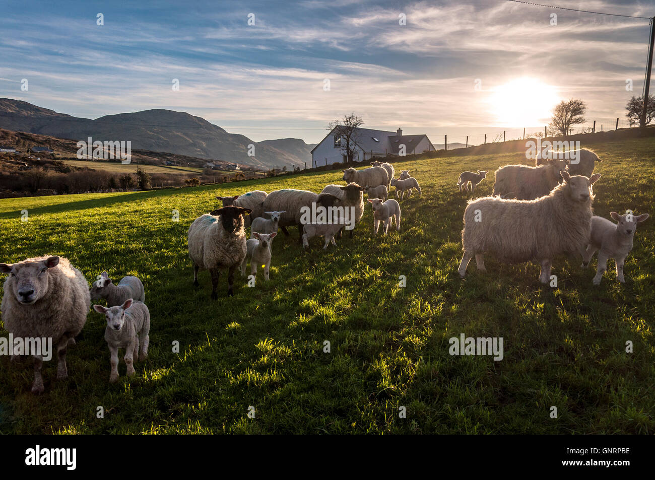 House On Coast County Donegal High Resolution Stock Photography and ...