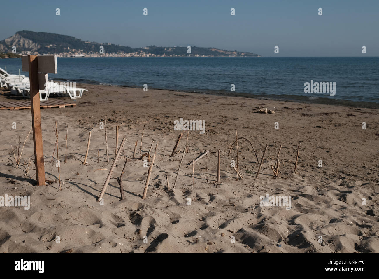 A turtle nest on a beach in Zante Greece Stock Photo - Alamy