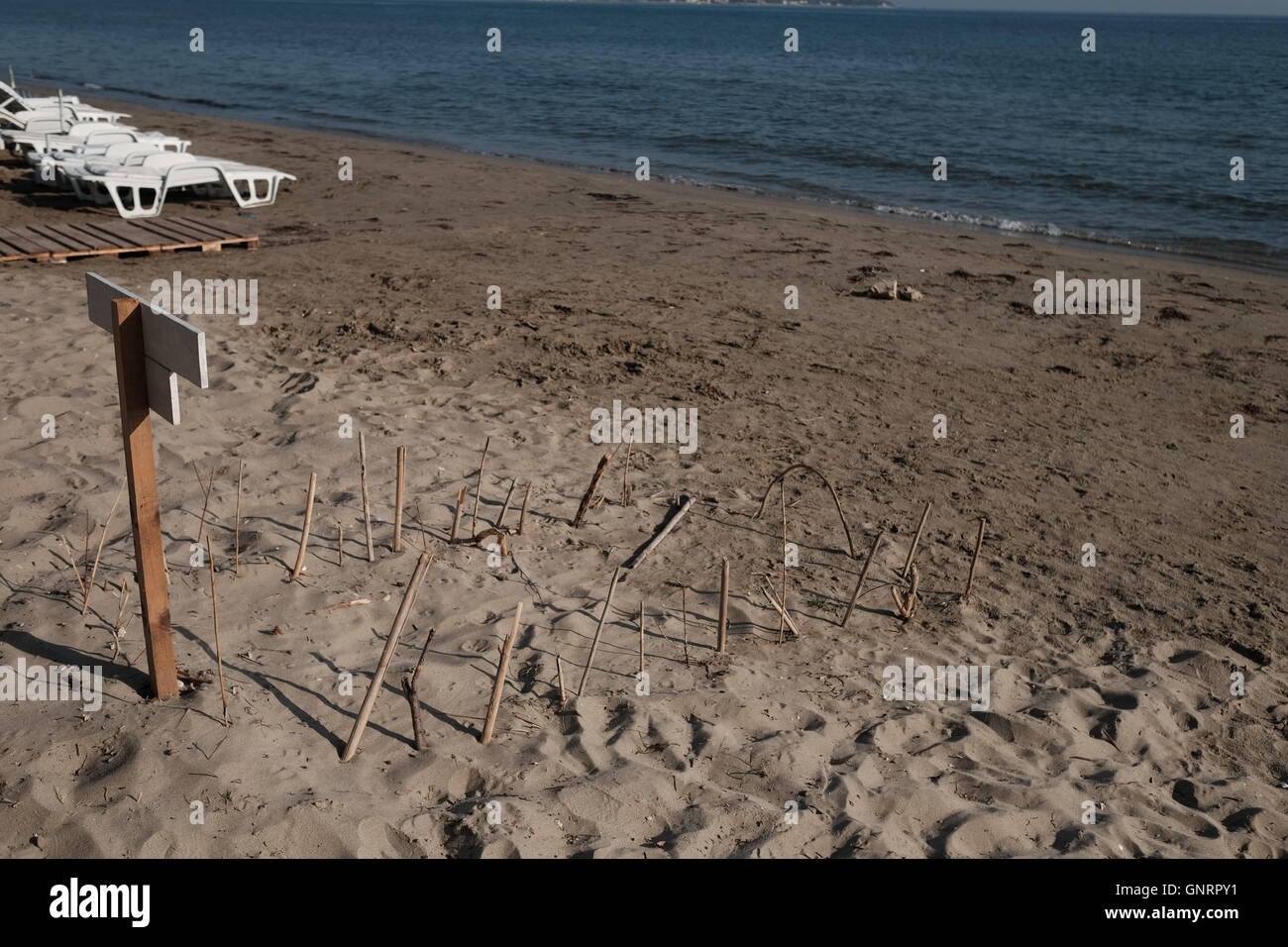 A turtle nest on a beach in Zante Greece Stock Photo - Alamy