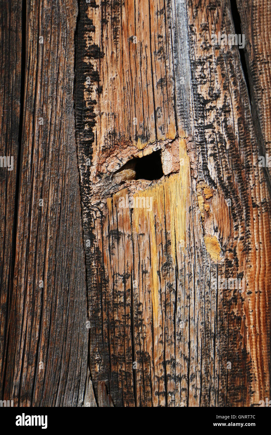 Wood creosote hi-res stock photography and images - Alamy