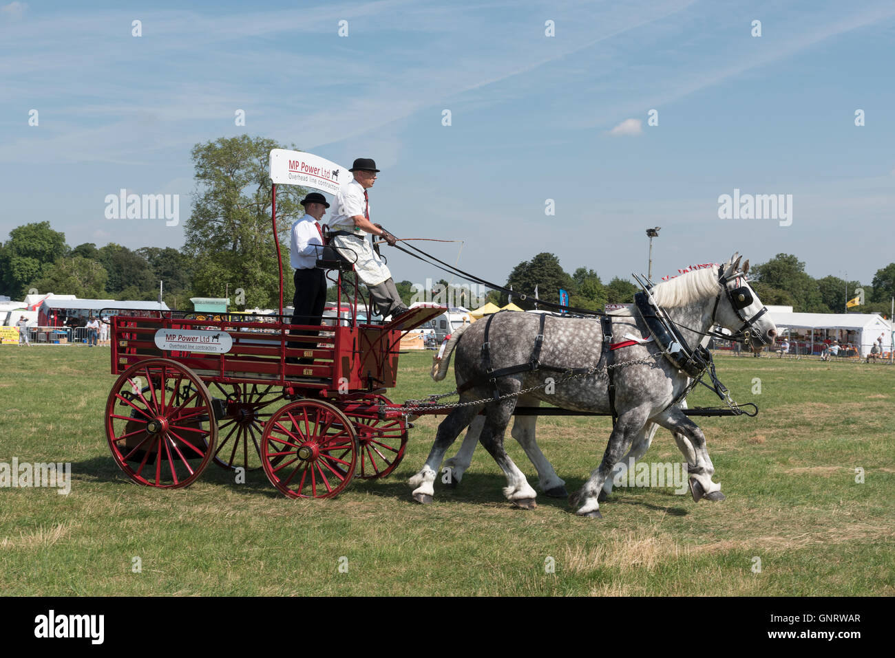 Heavy horses and dray team at Stow cum Quy Cambridgeshire Steam Rally ...