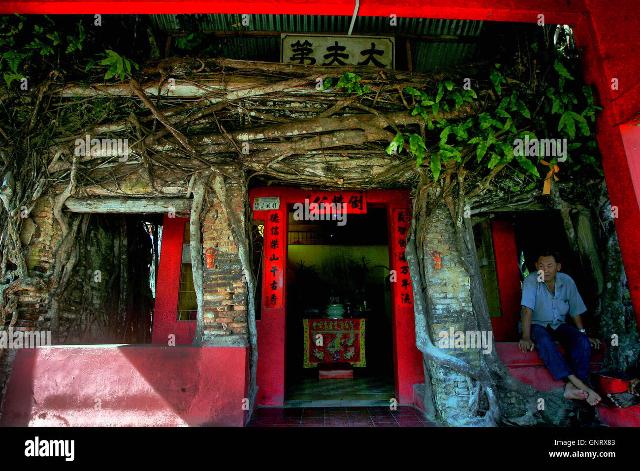 Banyan tree temple in Bintan, Indonesia. Photo by Yuli Seperi/Alamy ...