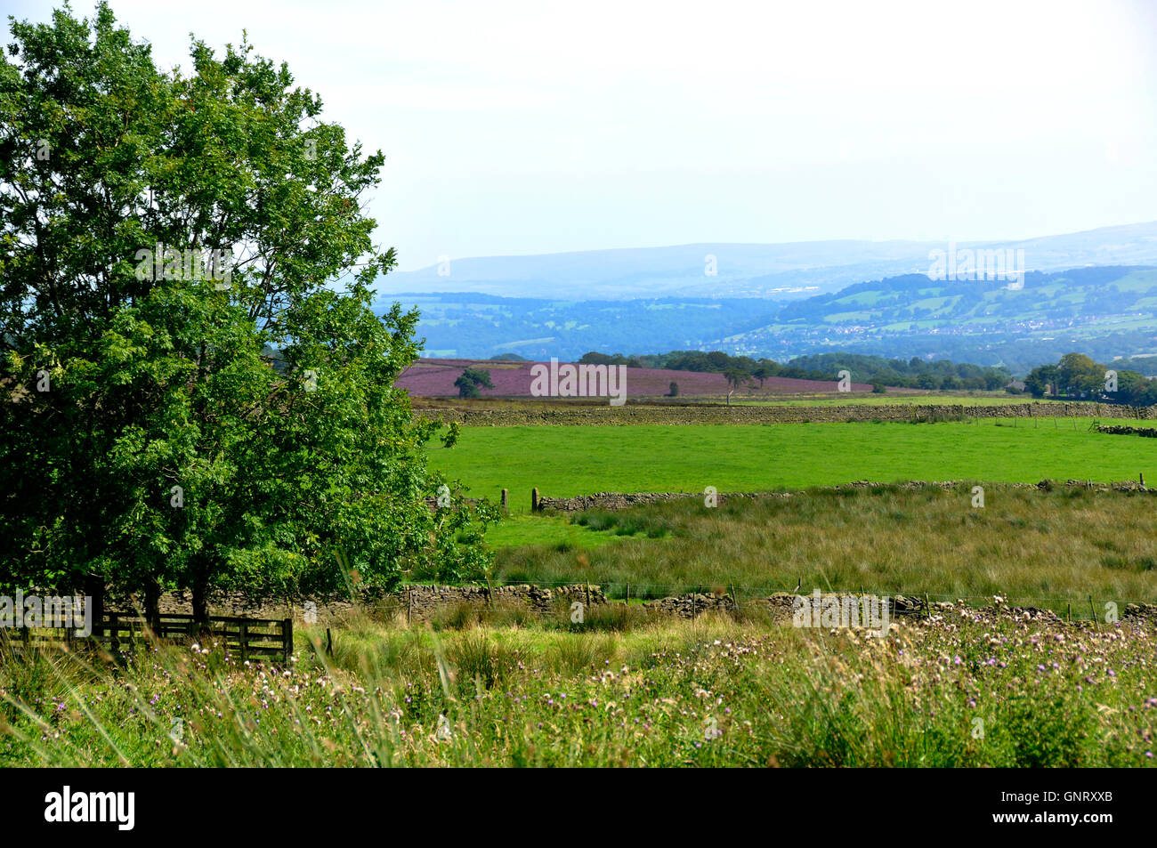 Breath of the countryside hi-res stock photography and images - Alamy