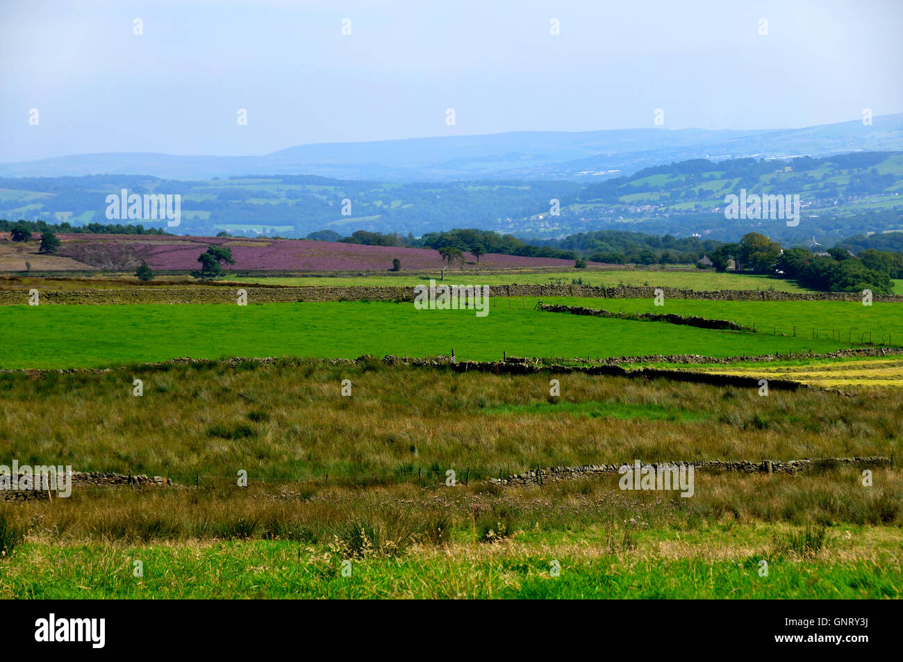 Farming green fields hi-res stock photography and images - Alamy