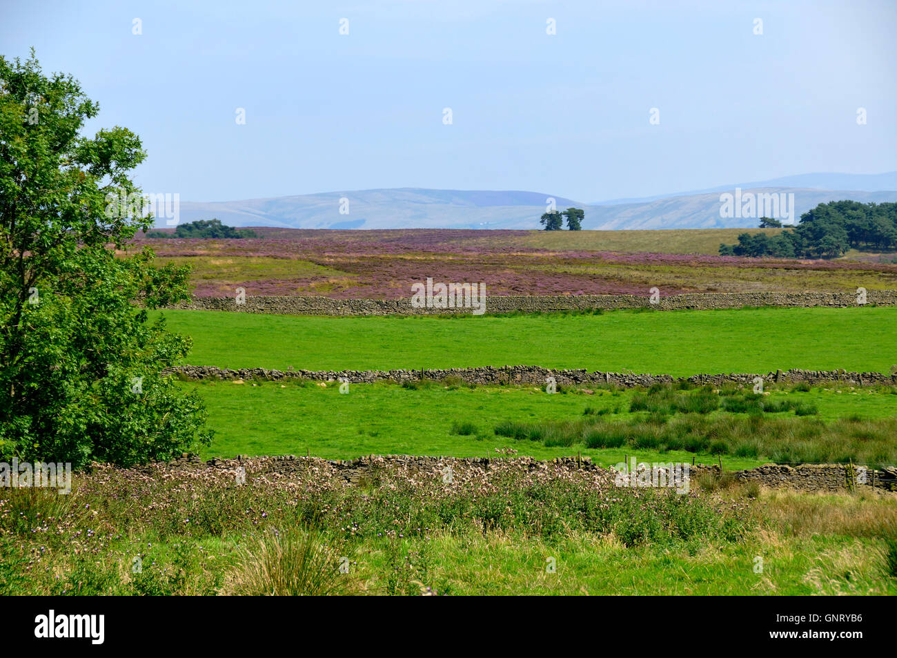 Our green and pleasant land hi-res stock photography and images - Alamy