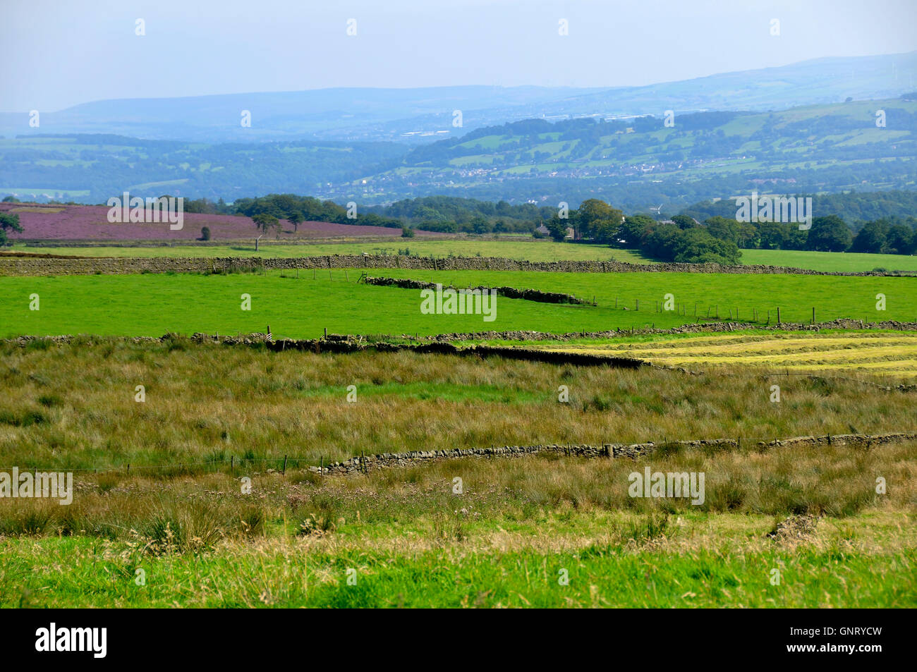 Farming green fields hi-res stock photography and images - Alamy