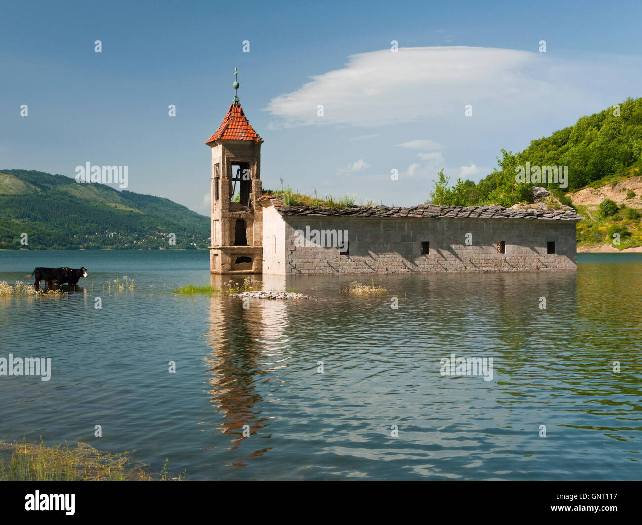 The sunken church of St. Nicholas at Mavrovo, Macedonia - a victim of ...