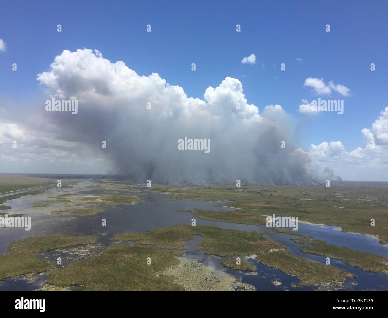 Everglades smoke hi-res stock photography and images - Alamy