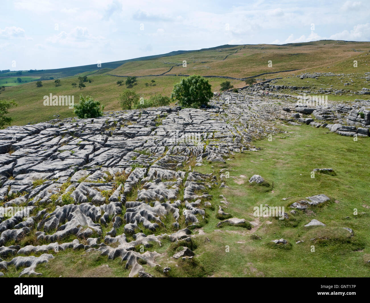 The clints and grykes of a limestone pavement above Malham Cove ...