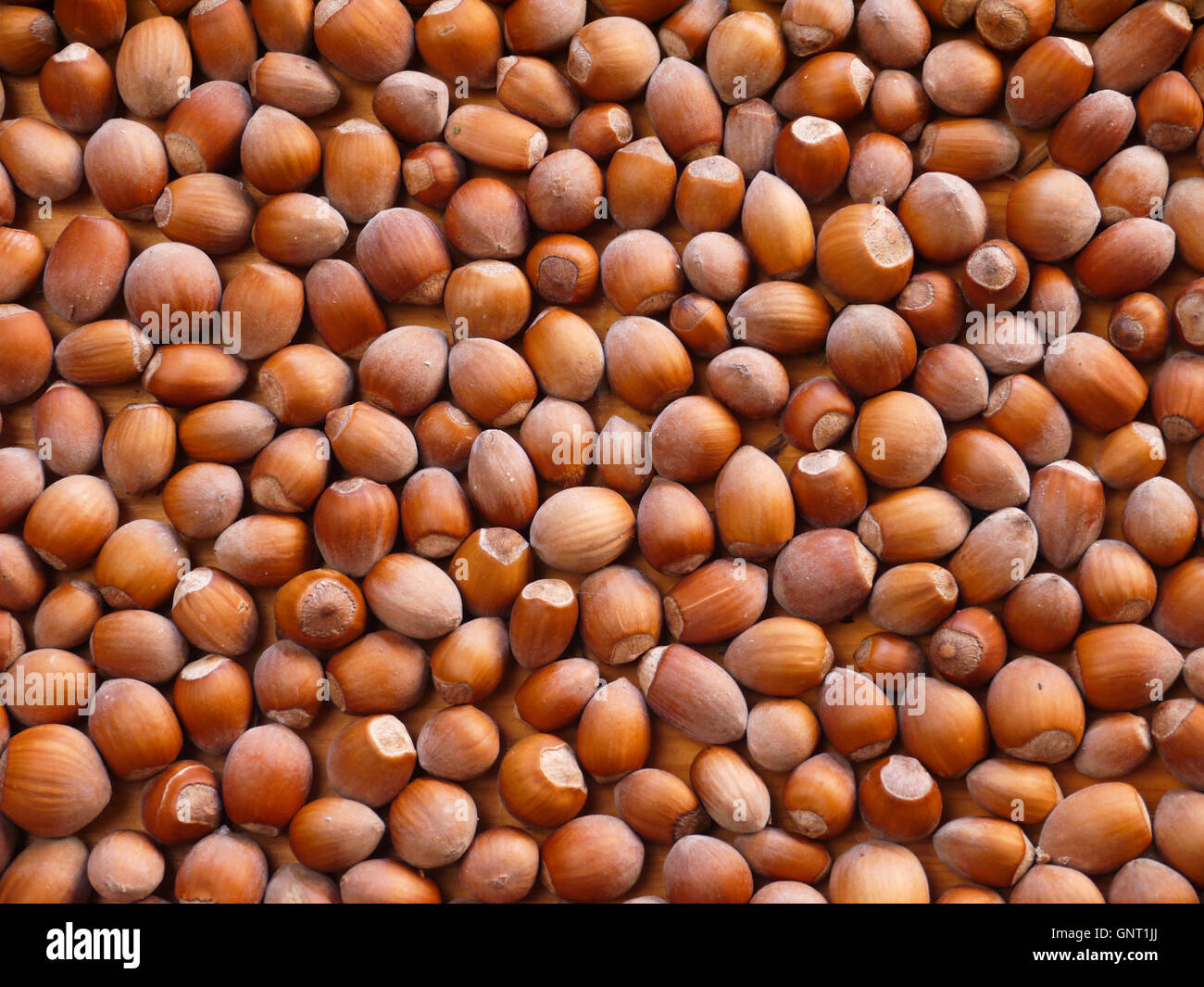 Fruit of hazelnut hi-res stock photography and images - Alamy