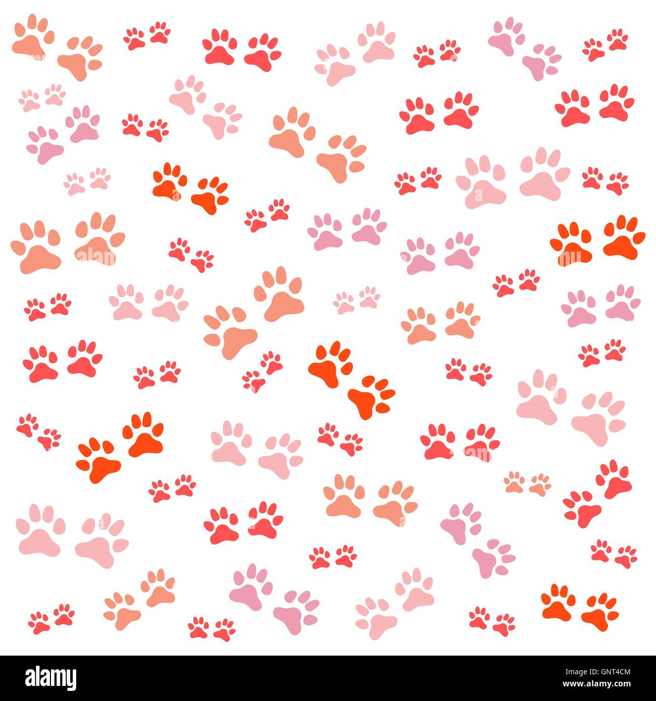 Nice picture of wild animal traces on a white background Stock Vector ...