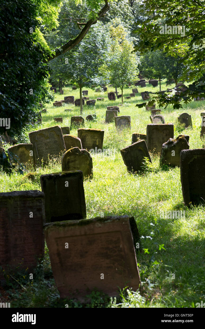 Heiliger Sand (old Jewish cemetery) in Worms, Germany Stock Photo - Alamy