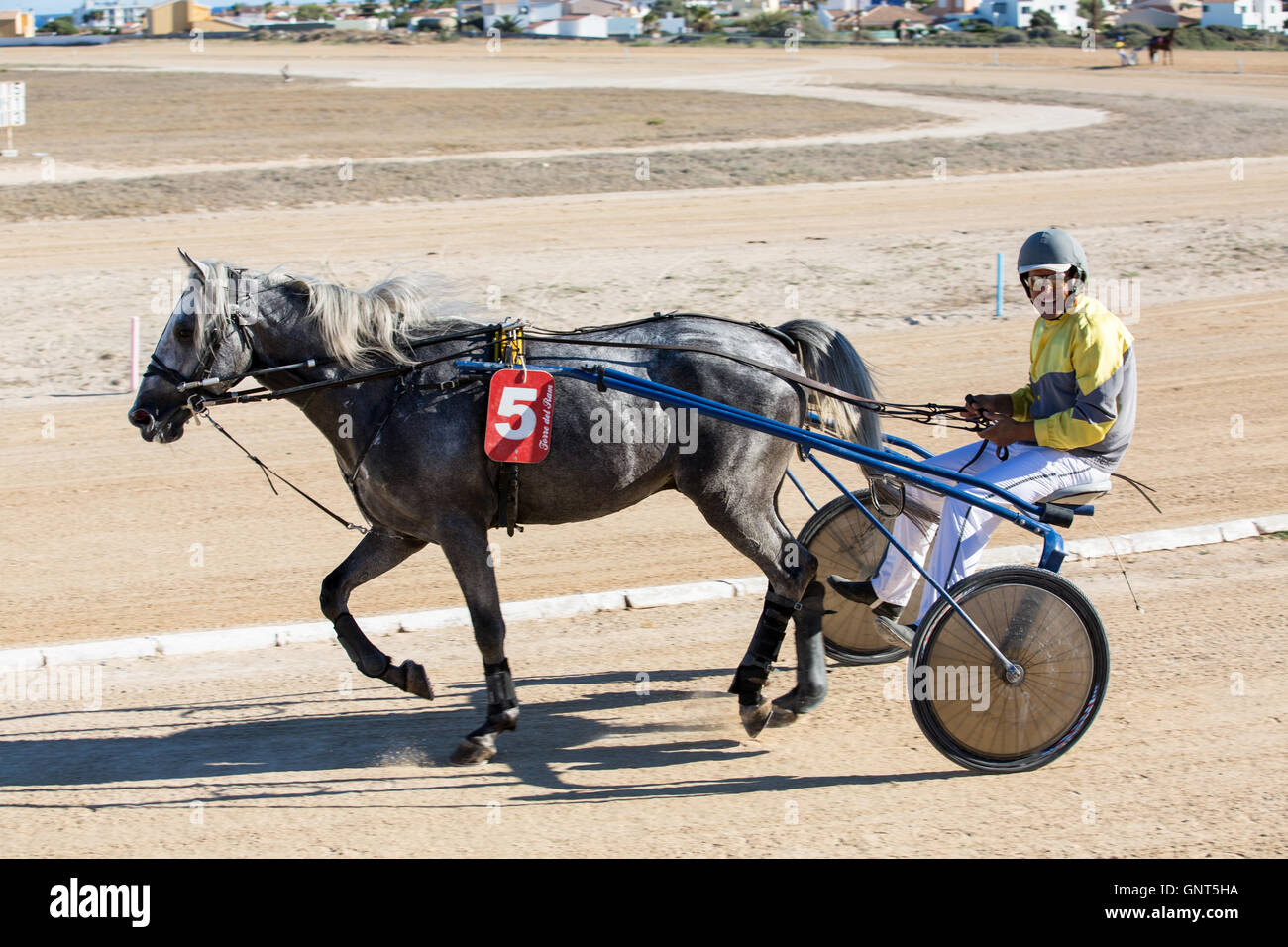 Harness racer in Menorca (Minorca) Hipodrom Torre del Ram Stock Photo ...