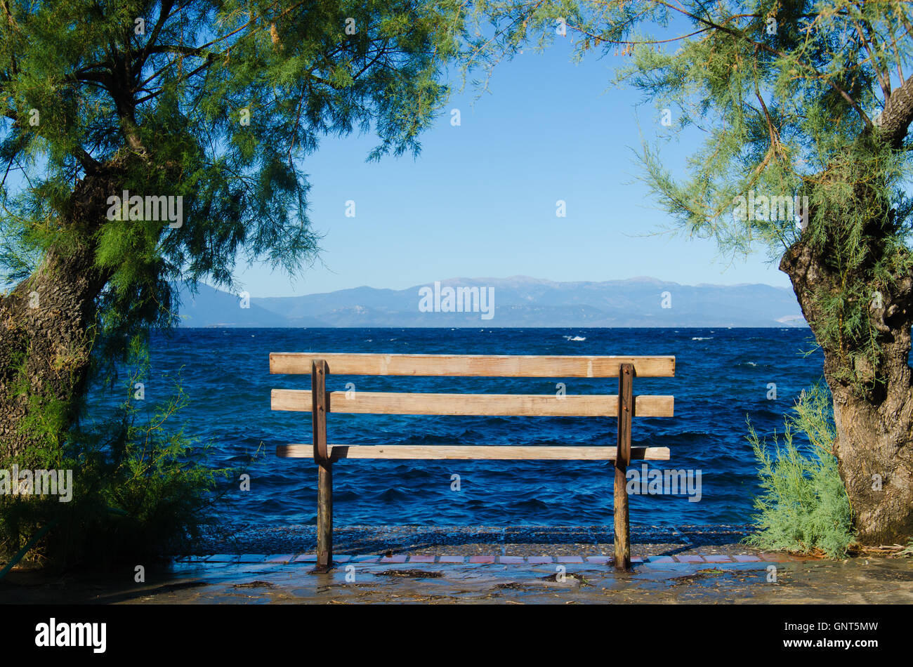 empty bench at the beach in greece with tree seaside Stock Photo - Alamy
