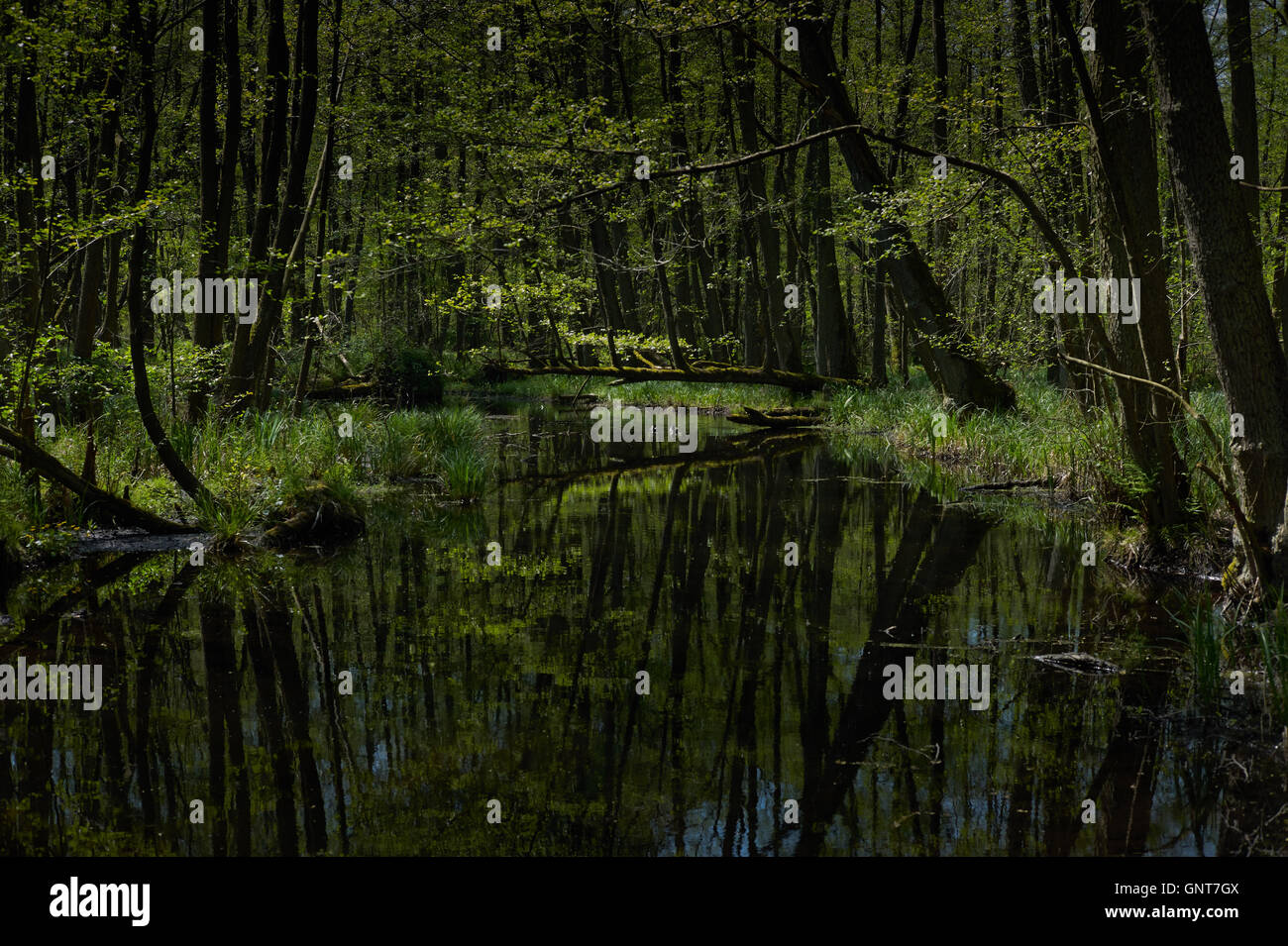 Briese hi-res stock photography and images - Alamy