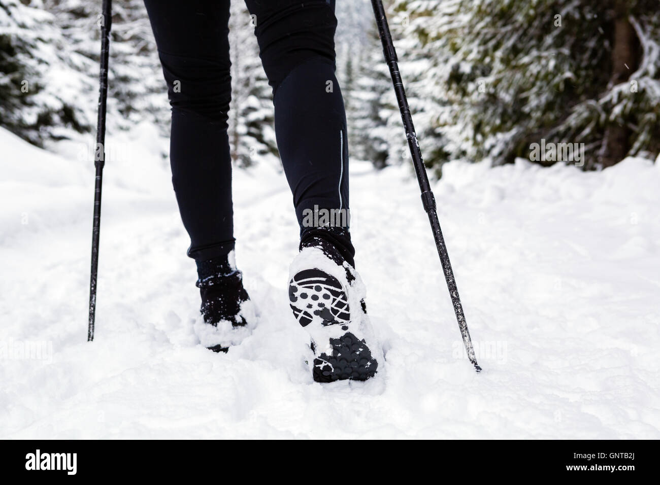 Female backpacker hiking in white winter woods on snow trail. Legs and ...