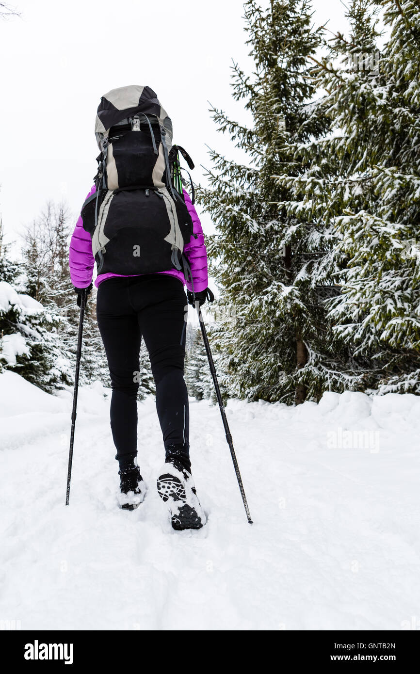 Female backpacker hiking in white winter woods on snow trail. Legs and ...