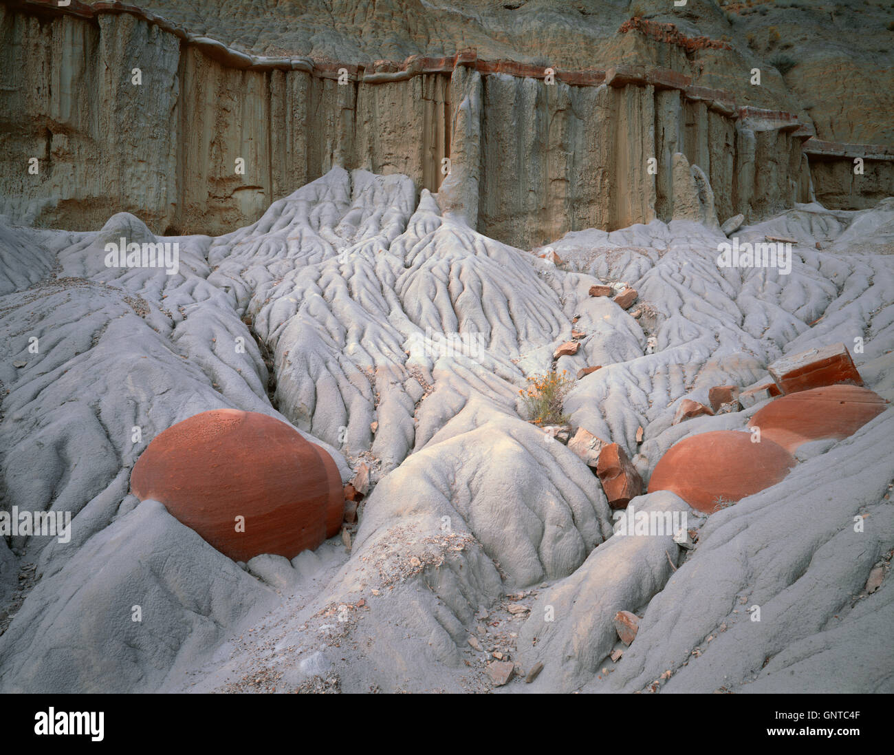 USA, North Dakota, Theodore Roosevelt National Park, An erosion ...