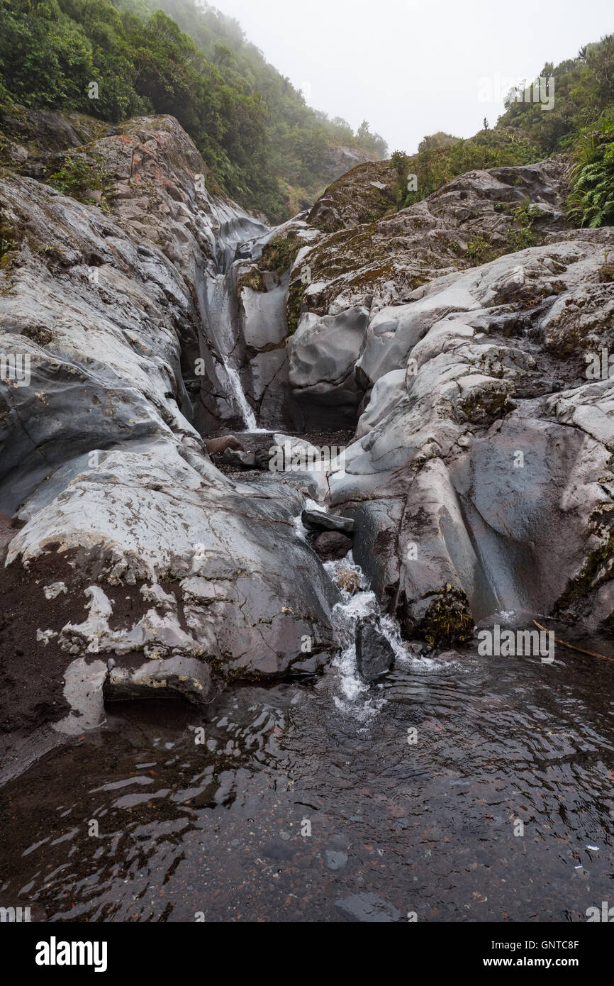 Kapuni new zealand hi-res stock photography and images - Alamy