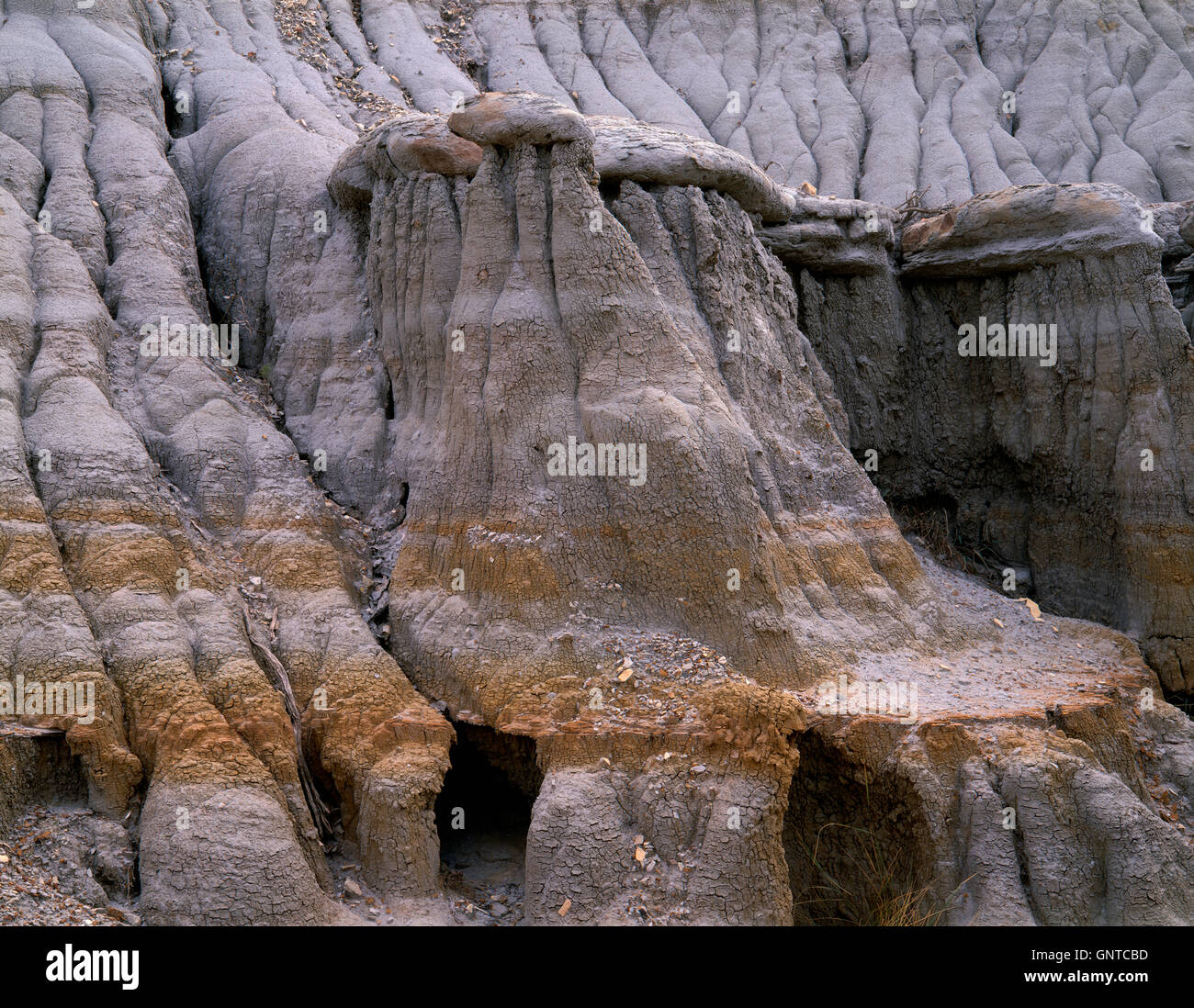 USA, North Dakota, Theodore Roosevelt National Park, Hard sandstone ...