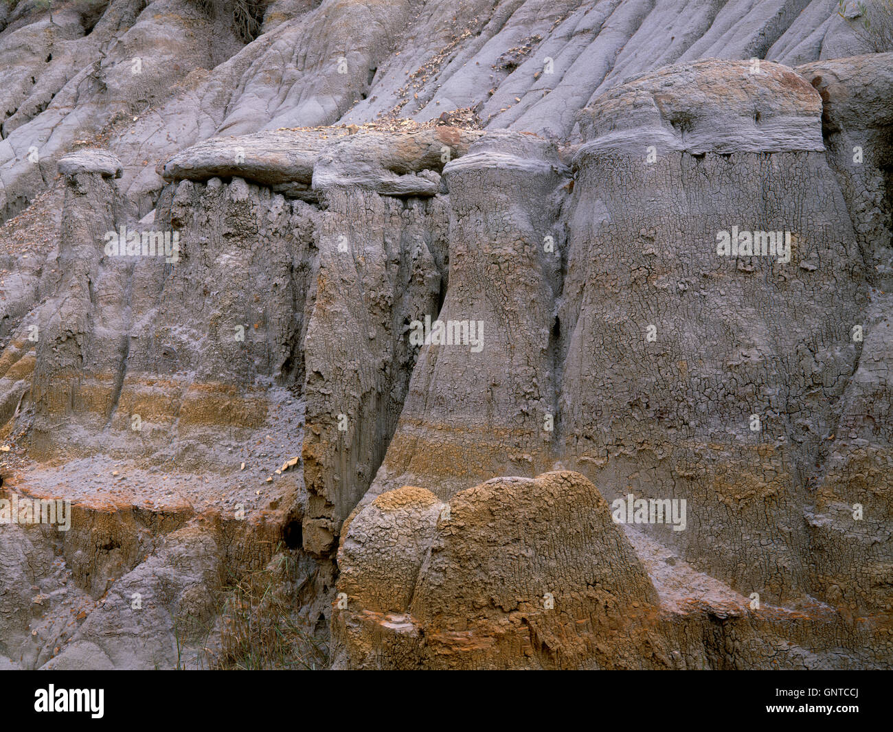 Rill erosion hi-res stock photography and images - Alamy