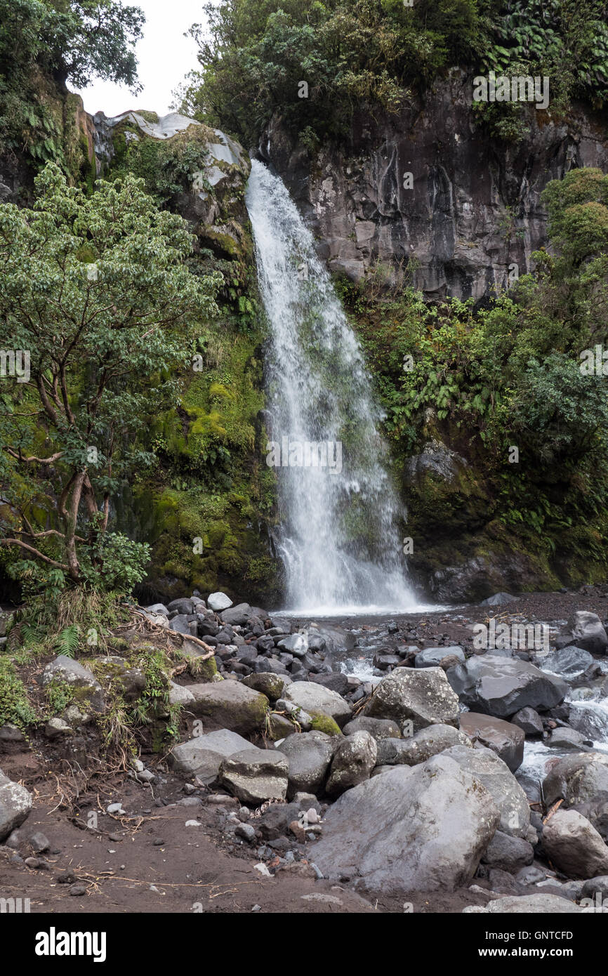 Dawson Falls Waterfall Taranaki North Island New Zealand Stock Photo