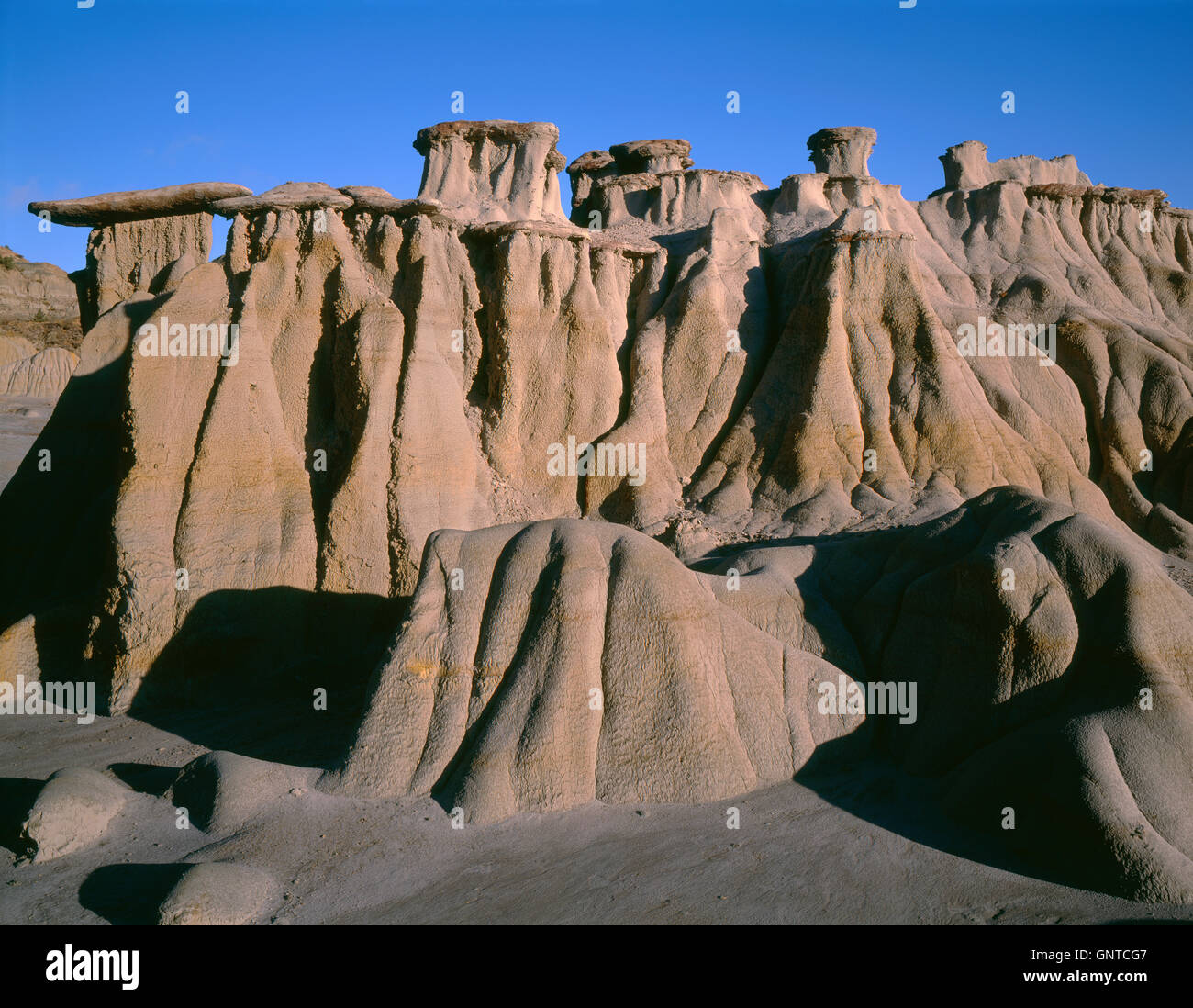 USA, North Dakota, Theodore Roosevelt National Park, Pedestals or rain ...