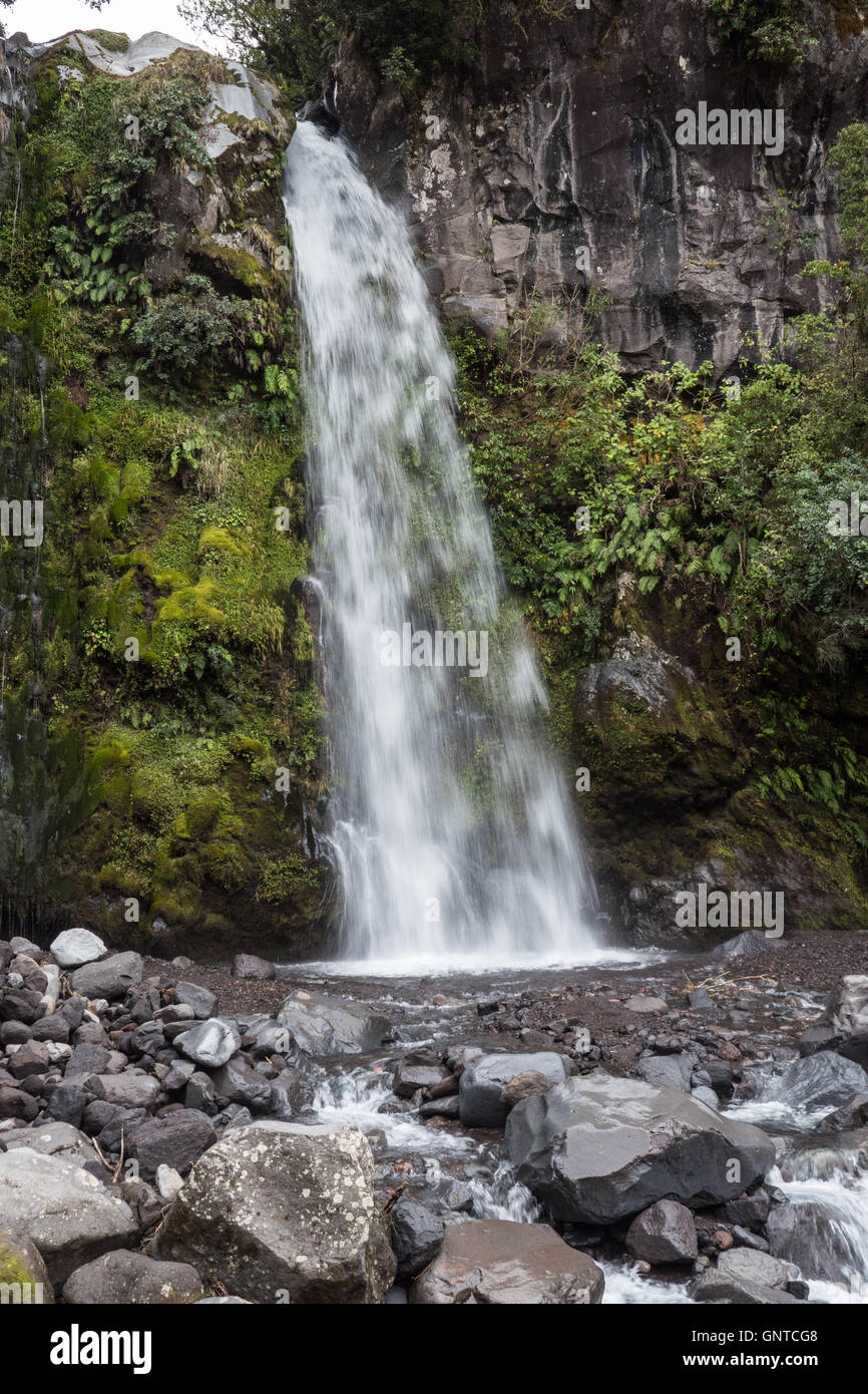 Dawson Falls Waterfall Taranaki North Island New Zealand Stock Photo