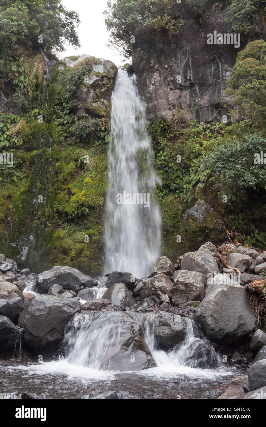 Kapuni new zealand hi-res stock photography and images - Alamy