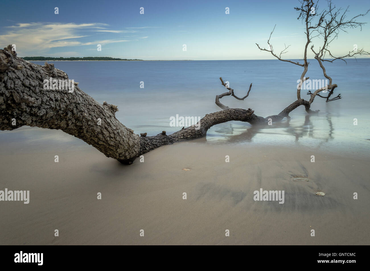 Long exposure photograph of a dead tree lying on the beach Stock Photo ...