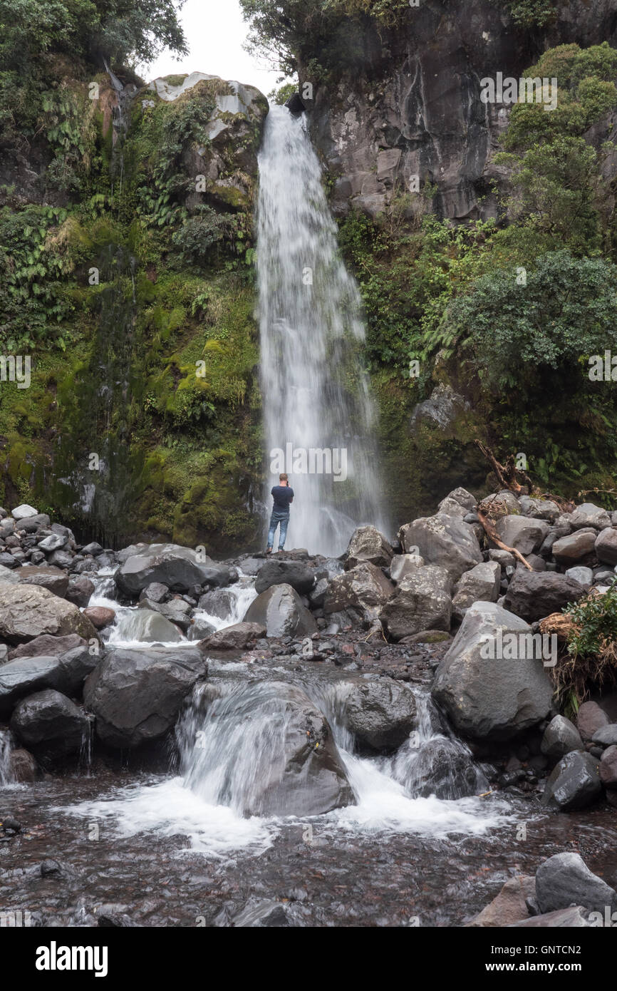 Kapuni new zealand hi-res stock photography and images - Alamy