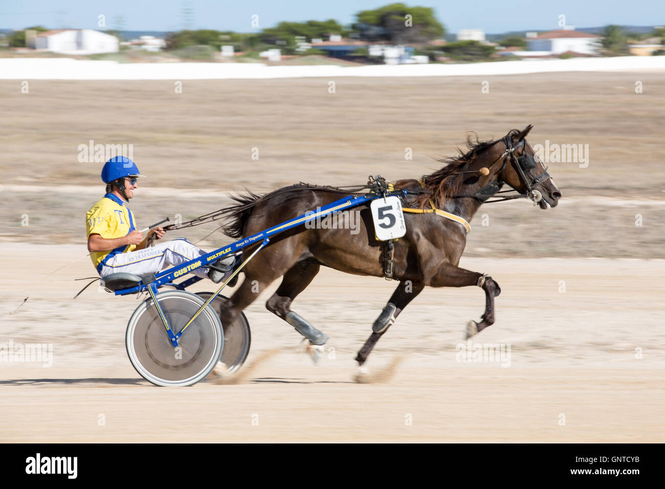 Harness racer, horse race in Menorca or Minorca with blurred background ...