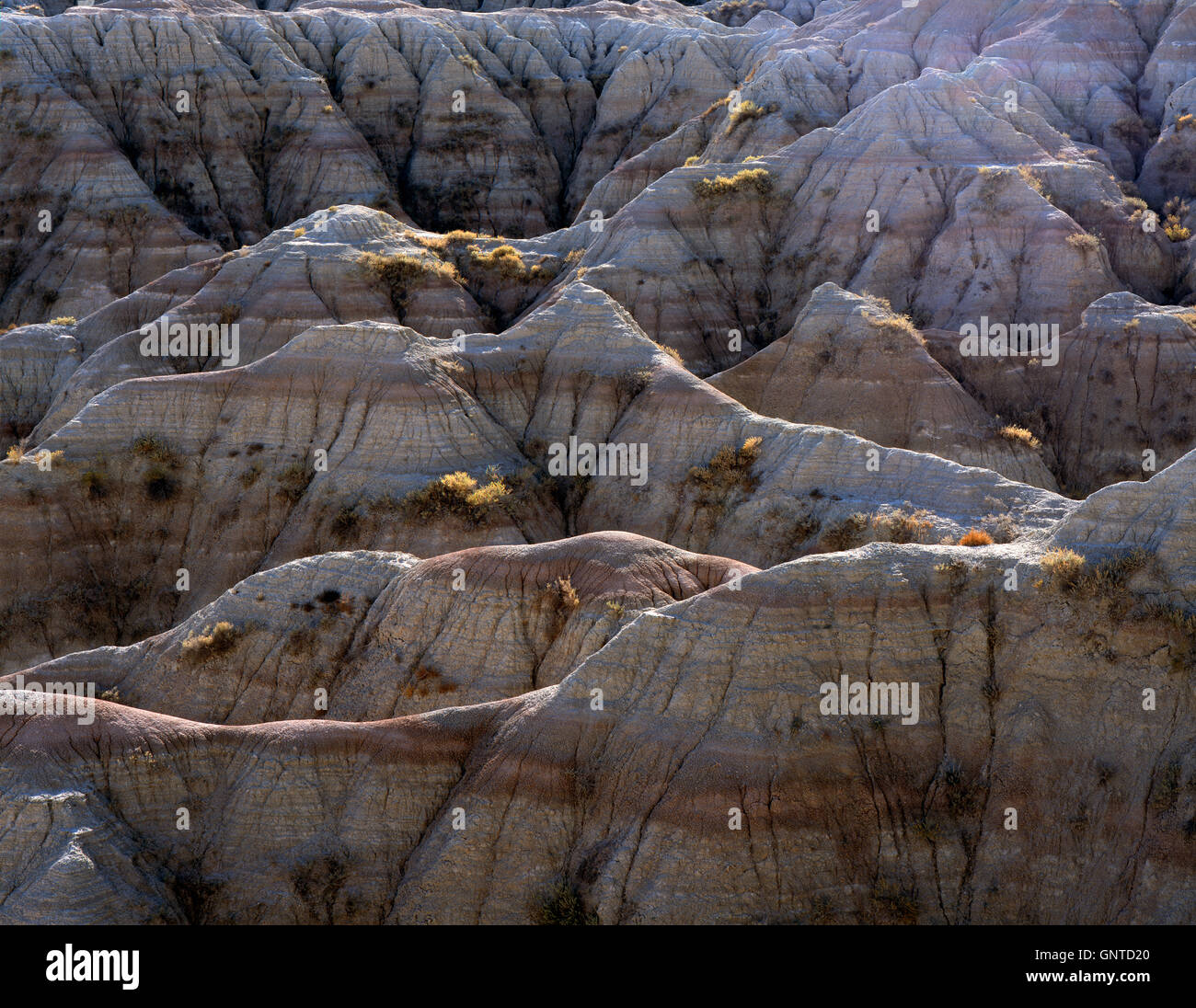 USA, South Dakota, Badlands National Park, North Unit, Soft eroded clay ...